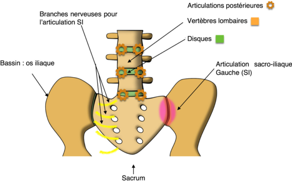 Docteur Christian LOUIS